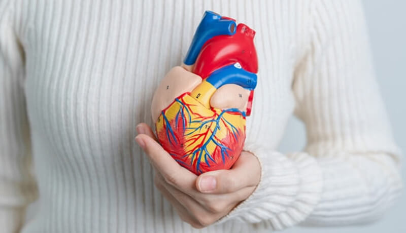 Heart-Related Discomfort? Here's What to do